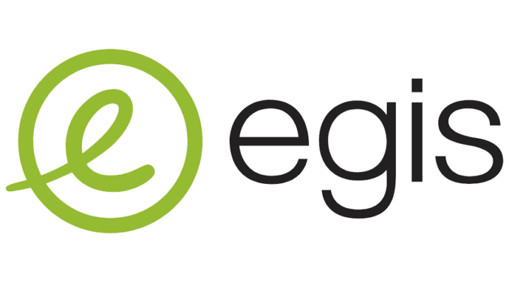 egis - Sitearound: All in One Construction Management Technology